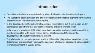 Exudative Retinal Detachment