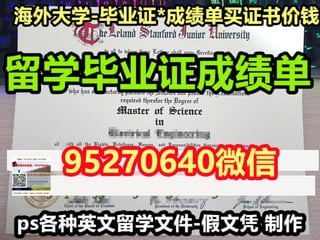 MSVU学位证 | PDF