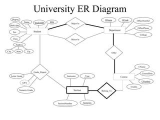 University Er Diagram Example