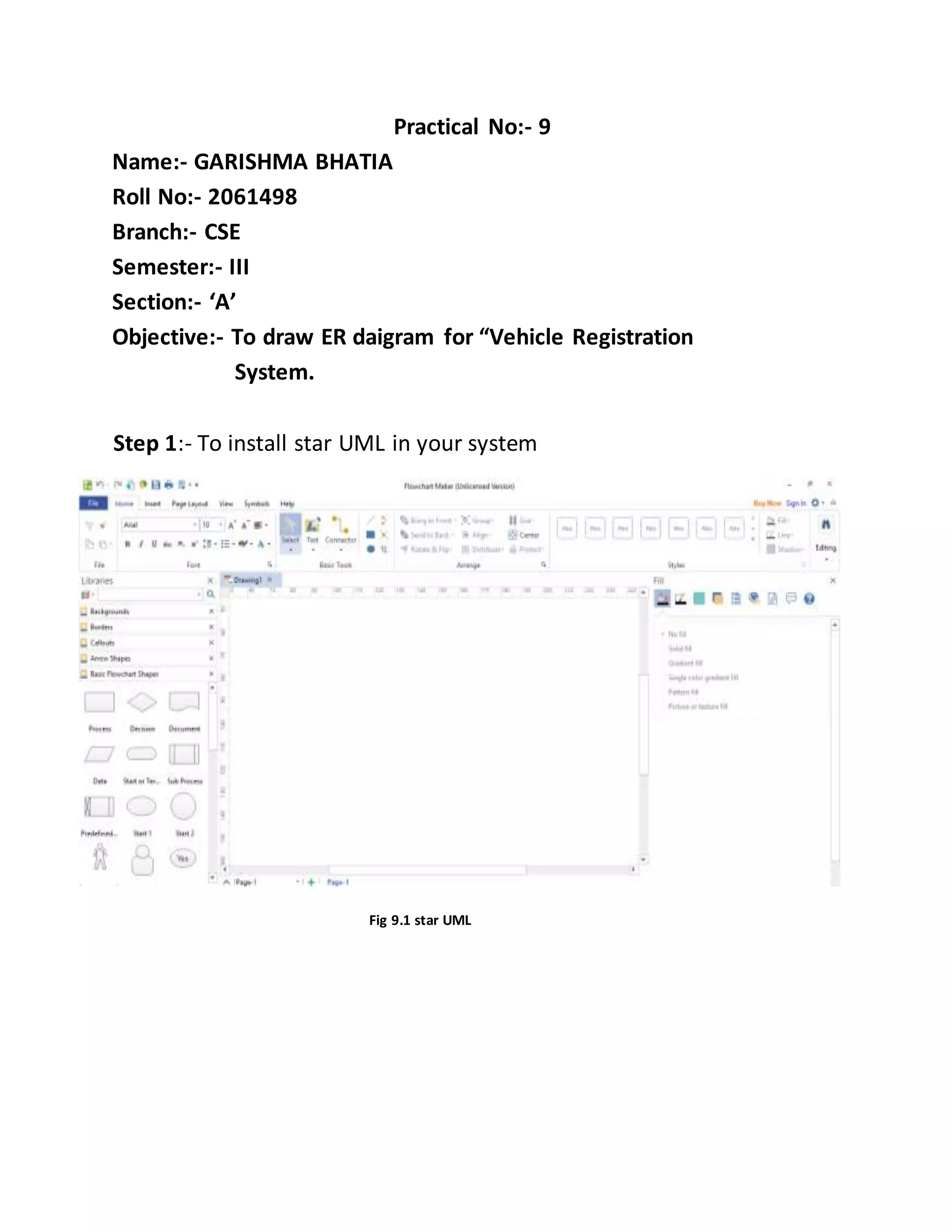 VEHICLE REGISTRATION PROJECT | DOCX