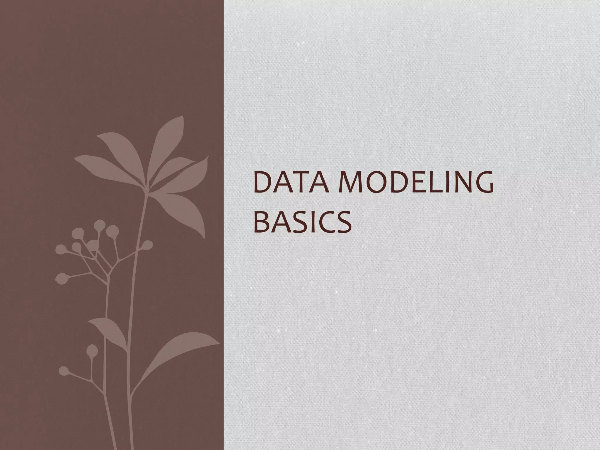 Data Modeling Basics | PPTX