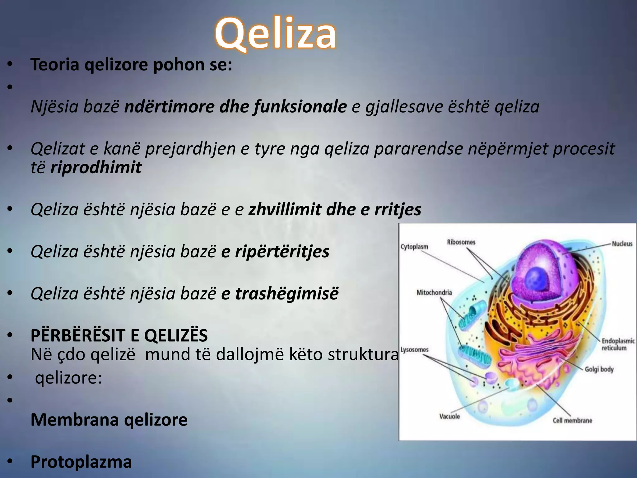Biologji - Qeliza,Struktura Dhe Funksioni I Saj | PPTX