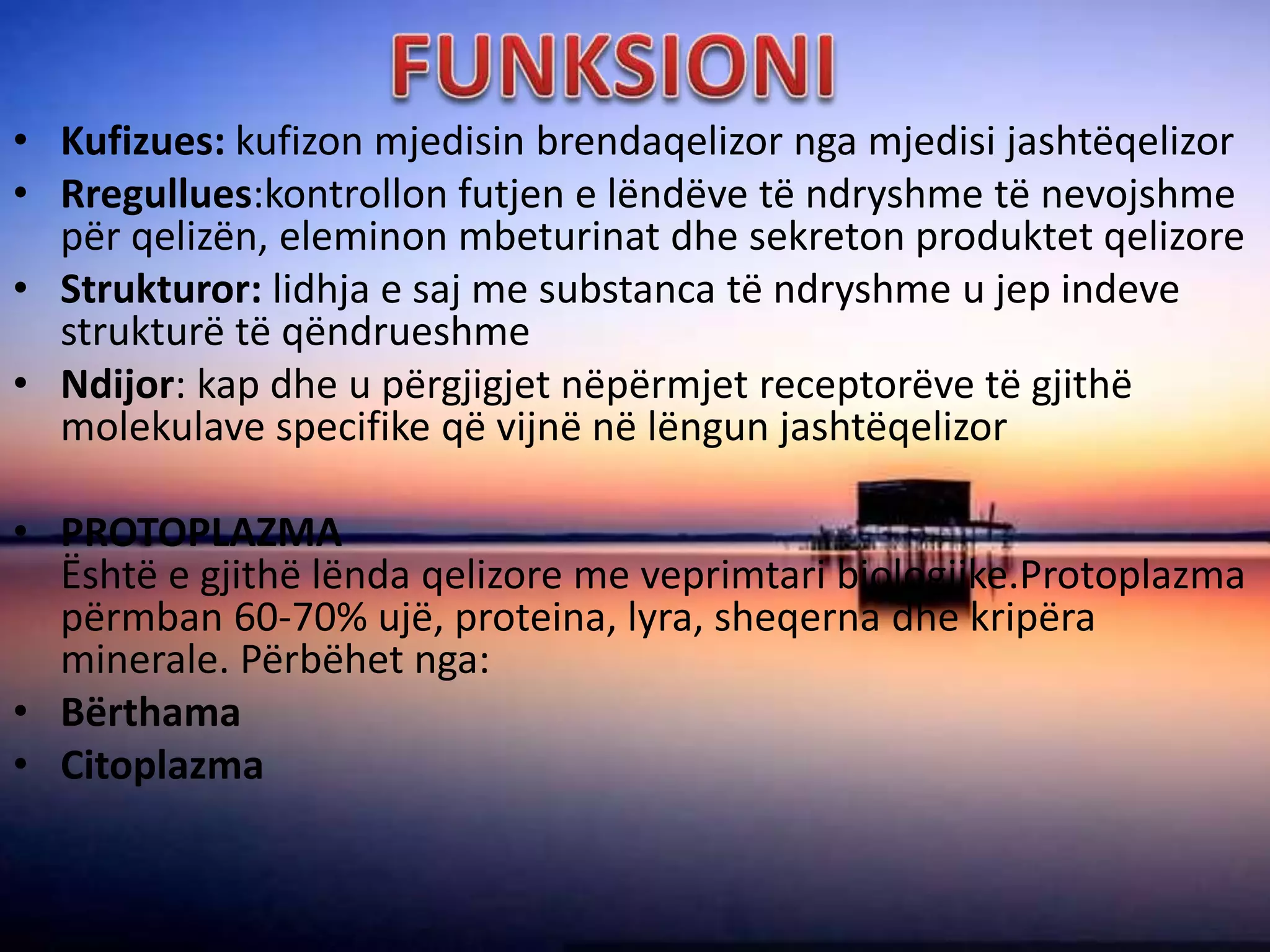 Biologji - Qeliza,Struktura Dhe Funksioni I Saj | PPTX