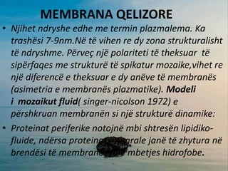Biologji - Qeliza,Struktura Dhe Funksioni I Saj | PPTX
