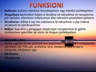 Biologji - Qeliza,Struktura Dhe Funksioni I Saj | PPTX