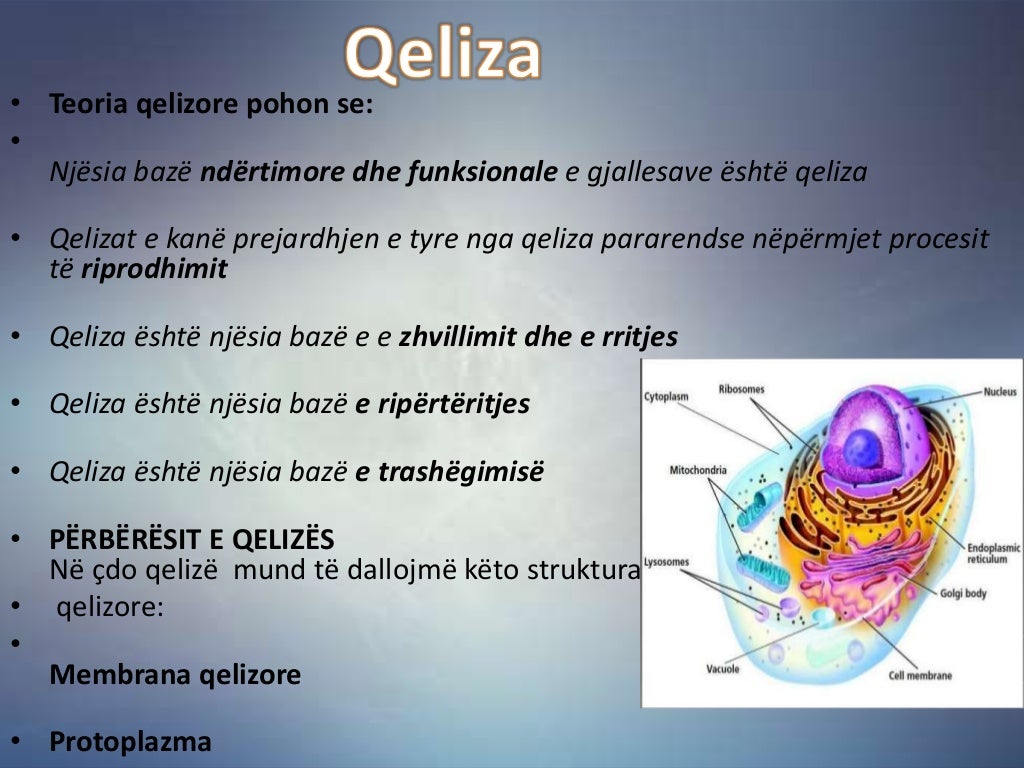 Biologji - Qeliza,Struktura Dhe Funksioni I Saj