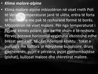 Gjeografi - Evropa | PPTX