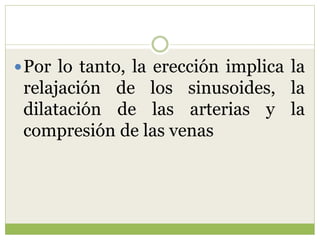 Ereccion en el aparato reproductor masculino | PDF