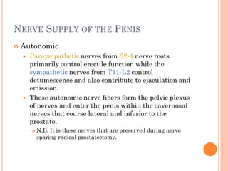 Erectile Dysfunction | PDF