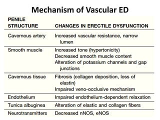 Erectile dysfunction - causes and diagnosis | PPTX