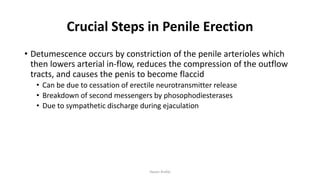 Erectile Dysfunction | PPT