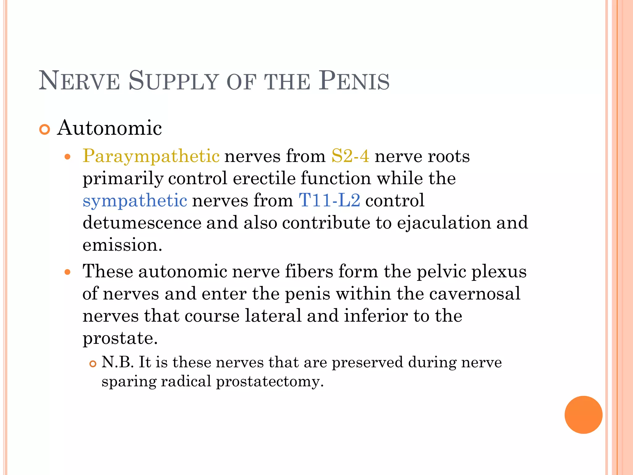 Erectile Dysfunction Treatment Information by Premier Men's Medical ...