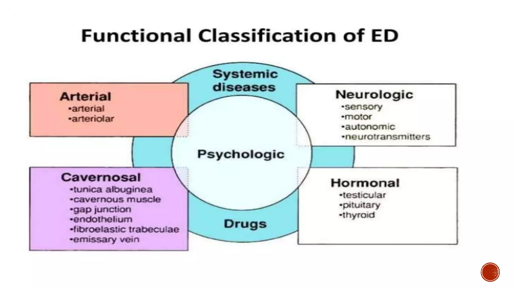 ERECTILE DYSFUNCTION ppt - Copy - Copy.pptx