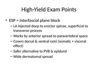 Erector spinae block tutorial class.pptx