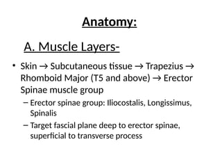 Erector spinae block tutorial class.pptx