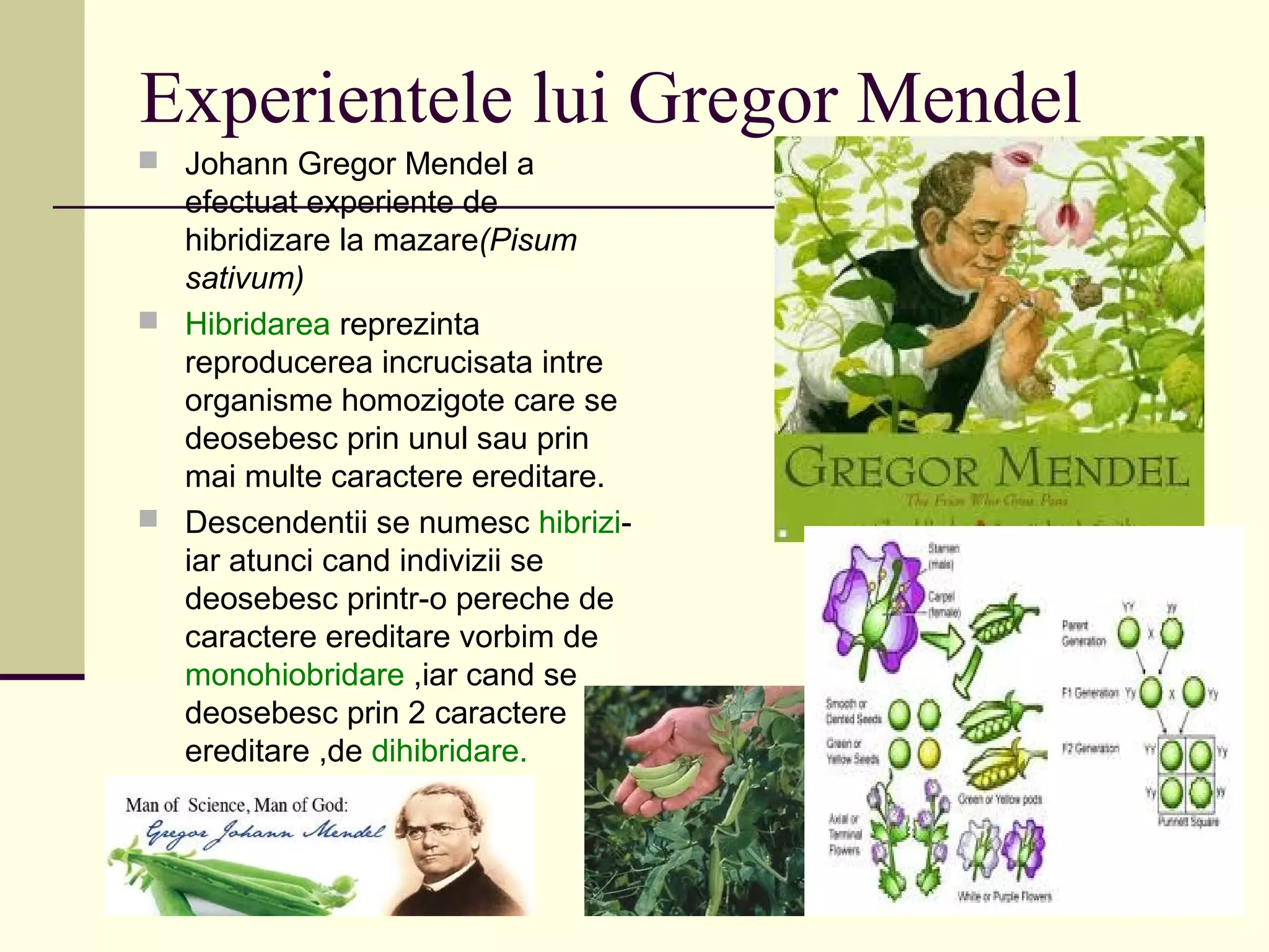 Ereditatea si variabilitatea_lumii_vii | PPT