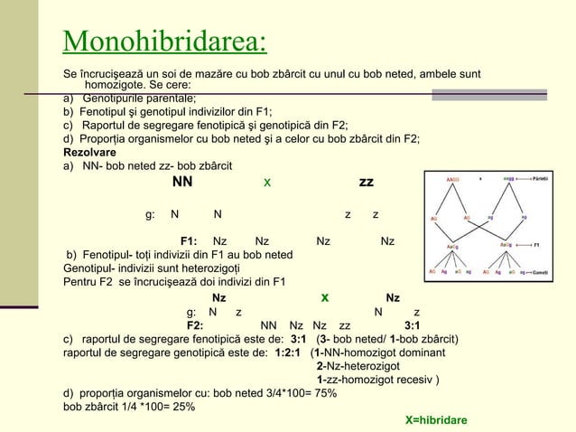 Ereditatea si variabilitatea_lumii_vii | PPT