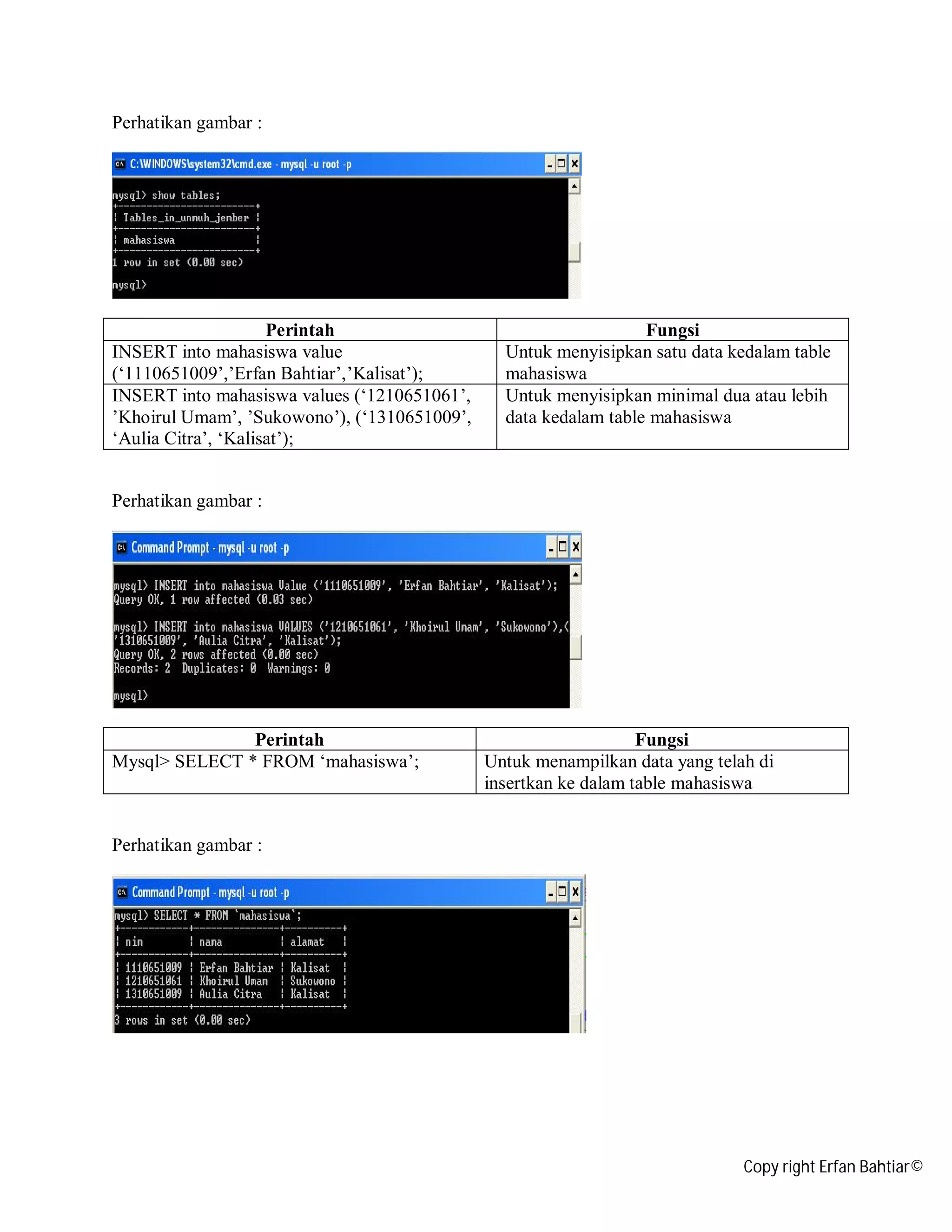 Basis data (Database) | PDF