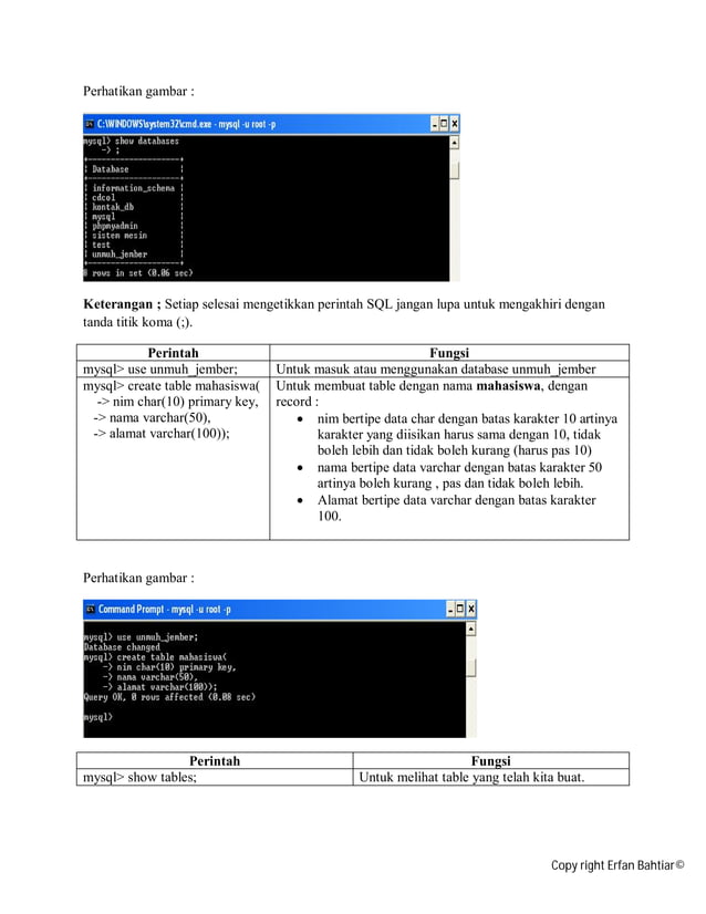 Basis data (Database) | PDF