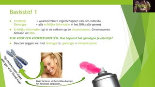 Erfelijkheid | PPTX