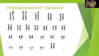 Erfelijkheid | PPTX