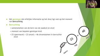 Erfelijkheid | PPTX | Infertility | Reproductive Health