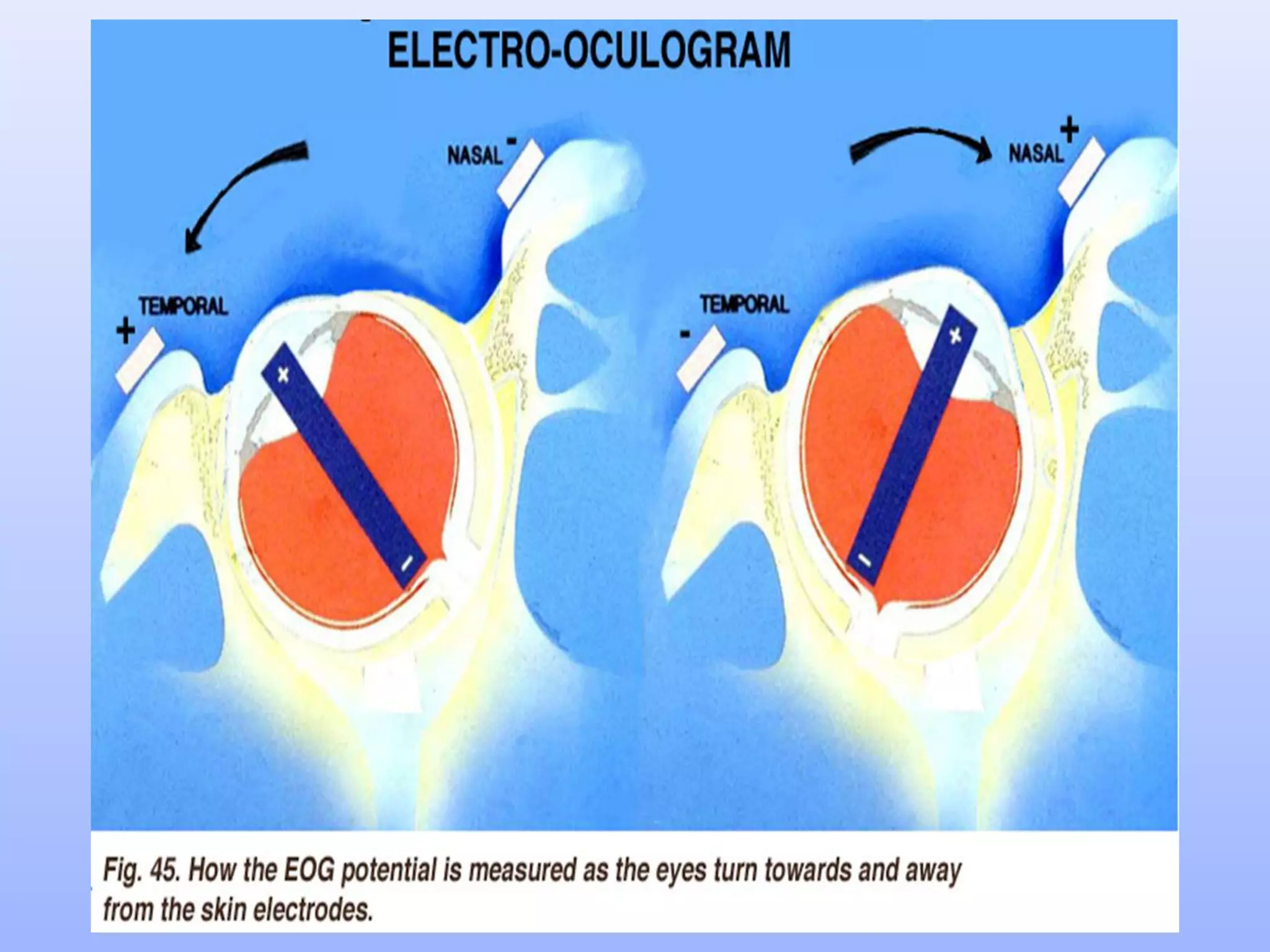 Electrophysiology (ERG and EOG) Simplified........ | PPTX