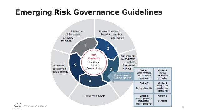 IRGC Guidelines for Emerging Risk Governance