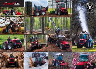 SERIE ERGIT 100 _ ING | PDF