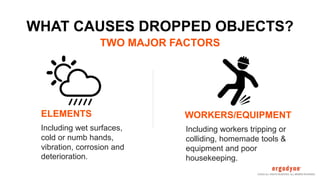 Coffee Break Safety: Dropped Objects | PPTX