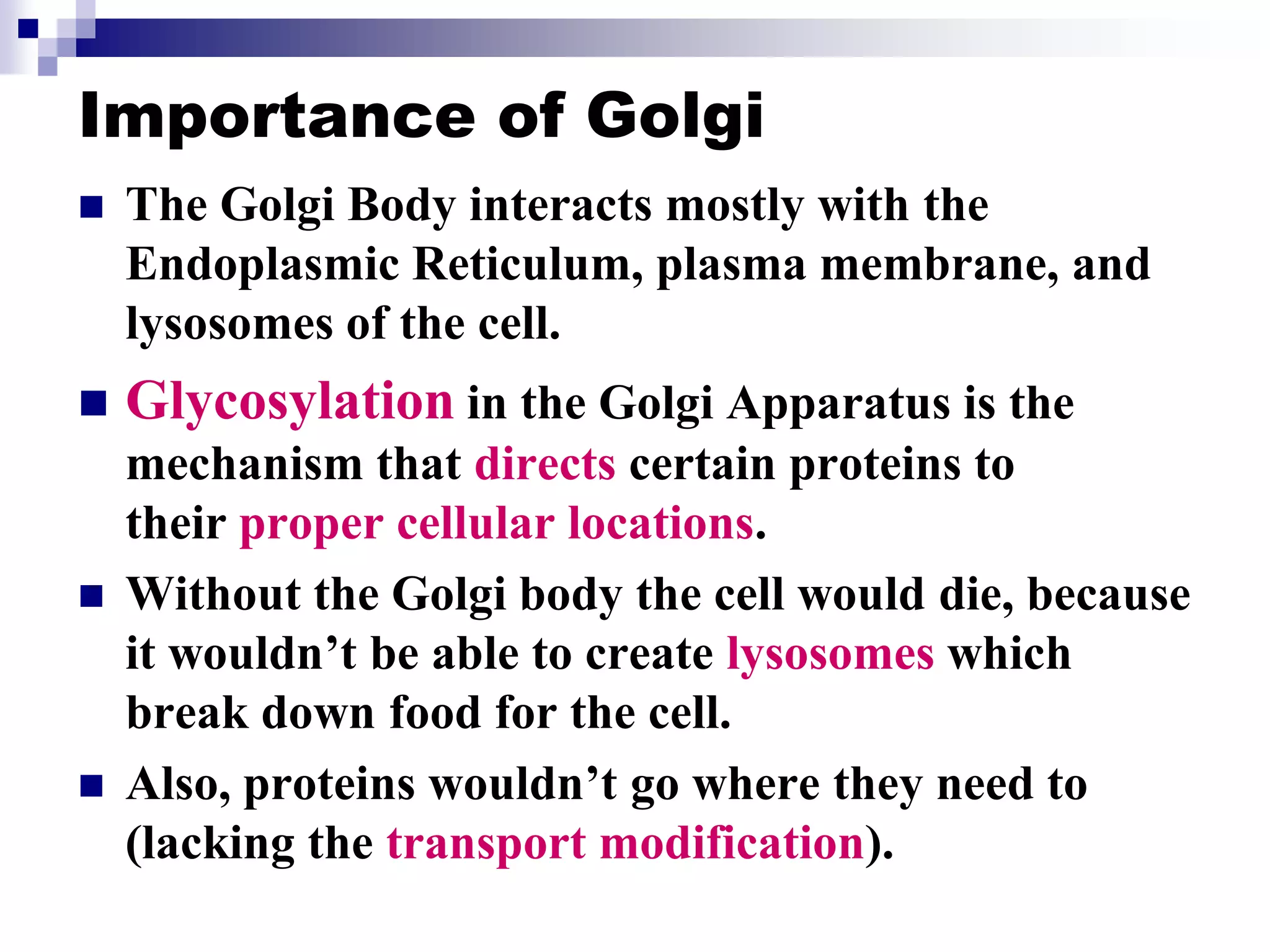STPM Form 6 Biology - ER, Golgi Apparatus, Lysosome | PPTX | Endocrine ...