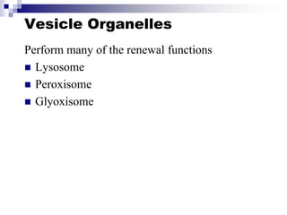 STPM Form 6 Biology - ER, Golgi Apparatus, Lysosome | PPTX