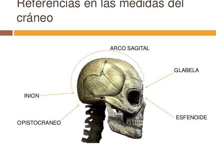 Ergonomia