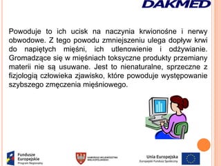 Ergonomia | PPTX | Computer Peripherals | Computing