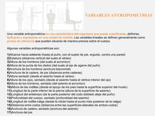 Ergonomia y-antropometria | PPTX