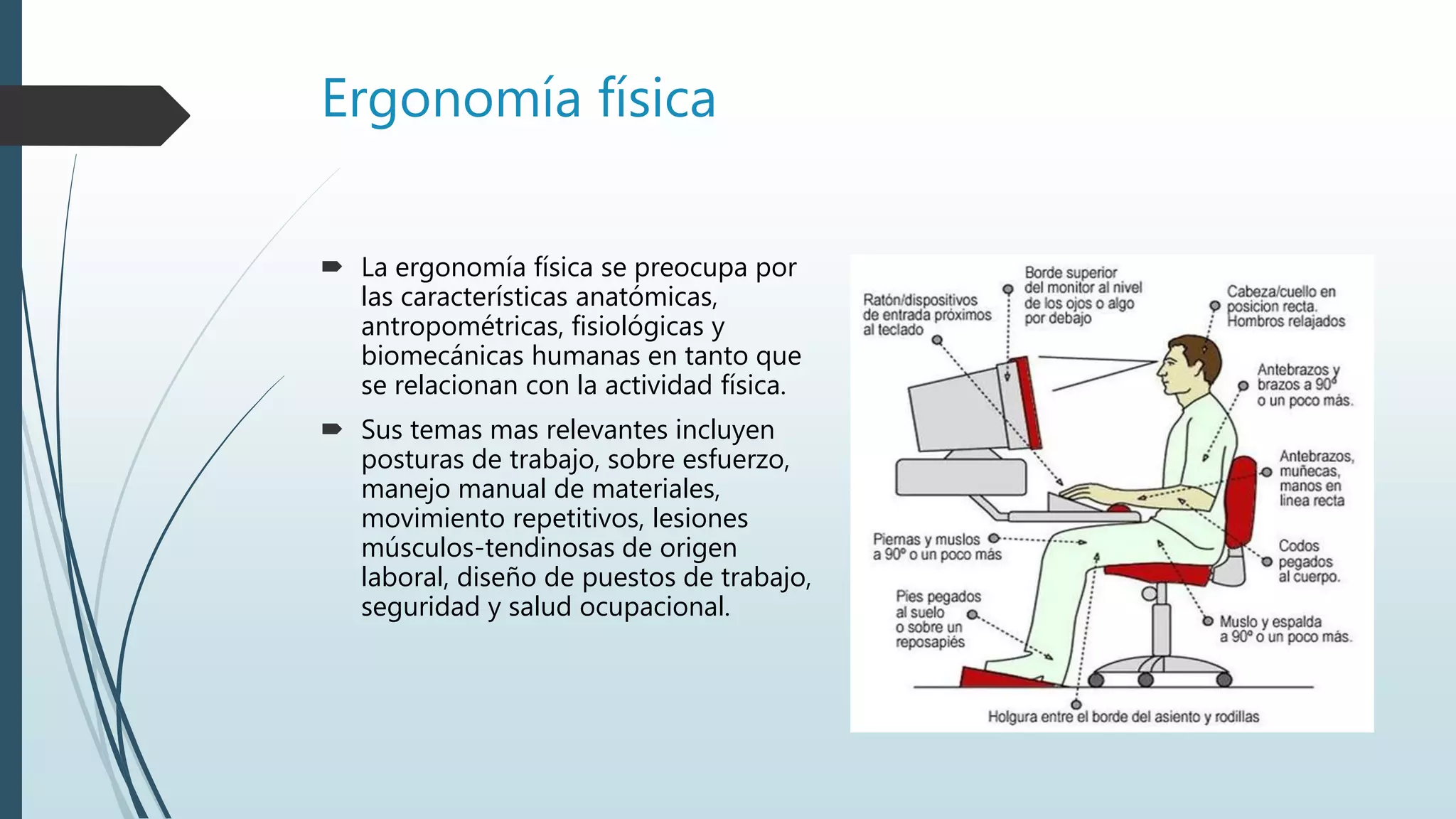Ergonomia y antropometria | PPTX | Science