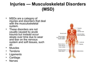Ergonomics | PPT | Death, Injury, or Military Conflict | Sensitive Topics