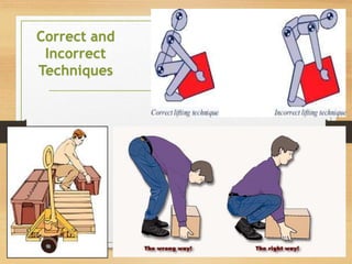 Ergonomics - Hreib mohammad.pptx