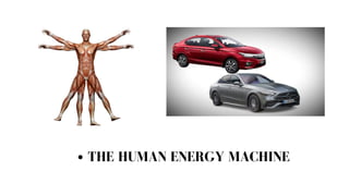 Ergonomics 1 How the Body Does it Work _ How the Mind Works.pdf