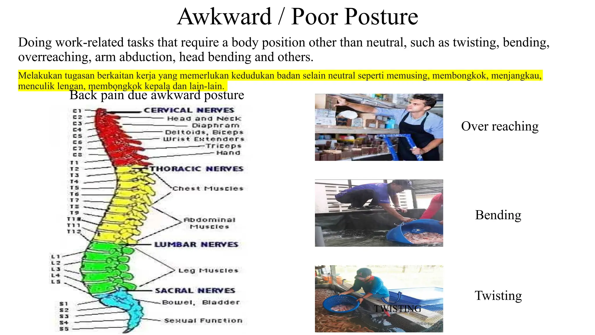 ERGONOMICS AND MANUAL HANDLING IN POWER POINT.pptx