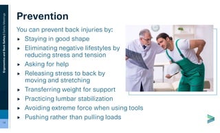 Ergonomics and Back Safety PowerPoint 2025 | PDF