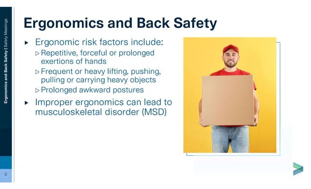 Ergonomics & Back Safety | PDF