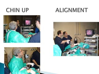 Ergonomics demerdash | PPT