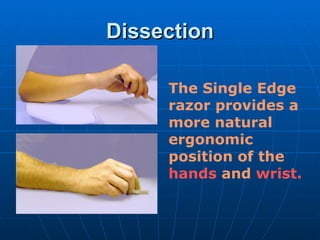 Ergonomics In Dissection | PPT