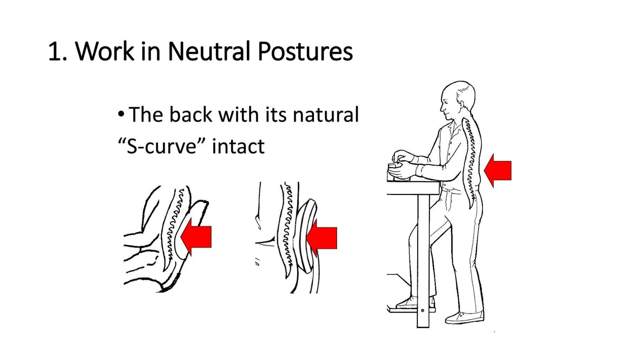 ERGONOMICS IN HEALTH CARE FOR NURSES AND PARAMEDICS | PPTX