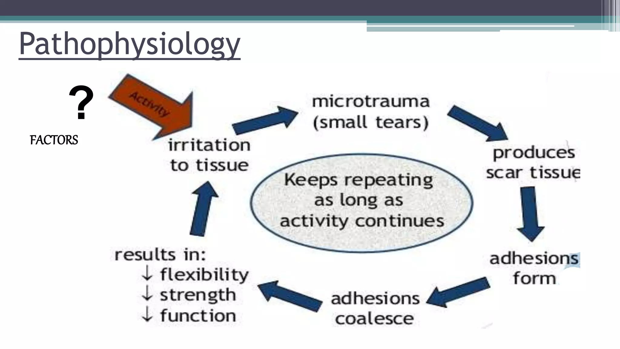 Ergonomics in Physiotherapy and Workplace | PPTX