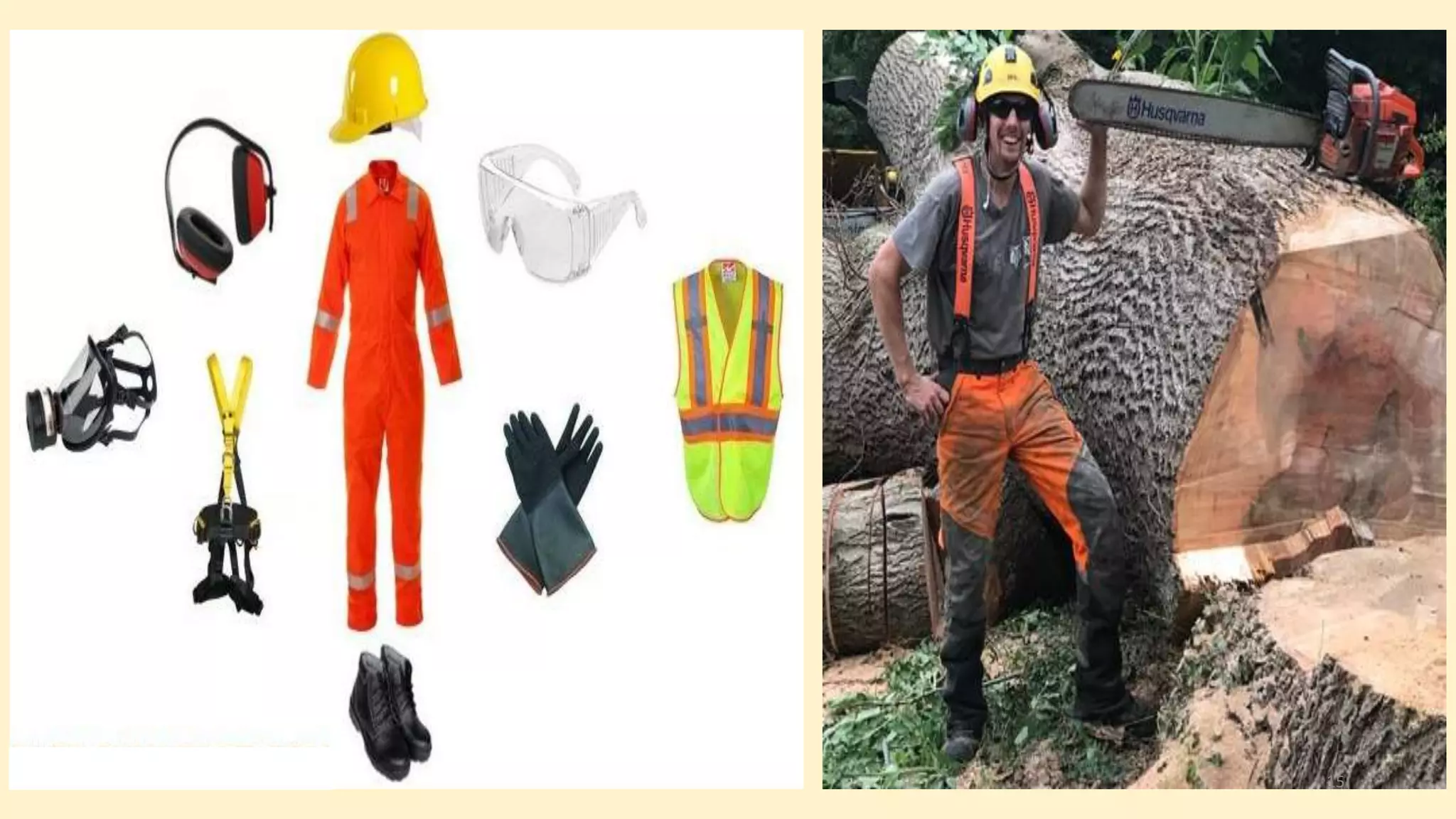 ERGONOMICS-LOGGING OPERATIONS | PPTX