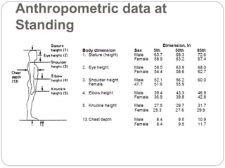 workkstation design by considering human anthropometrics | PPTX