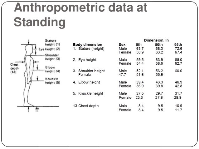 workkstation design by considering human anthropometrics