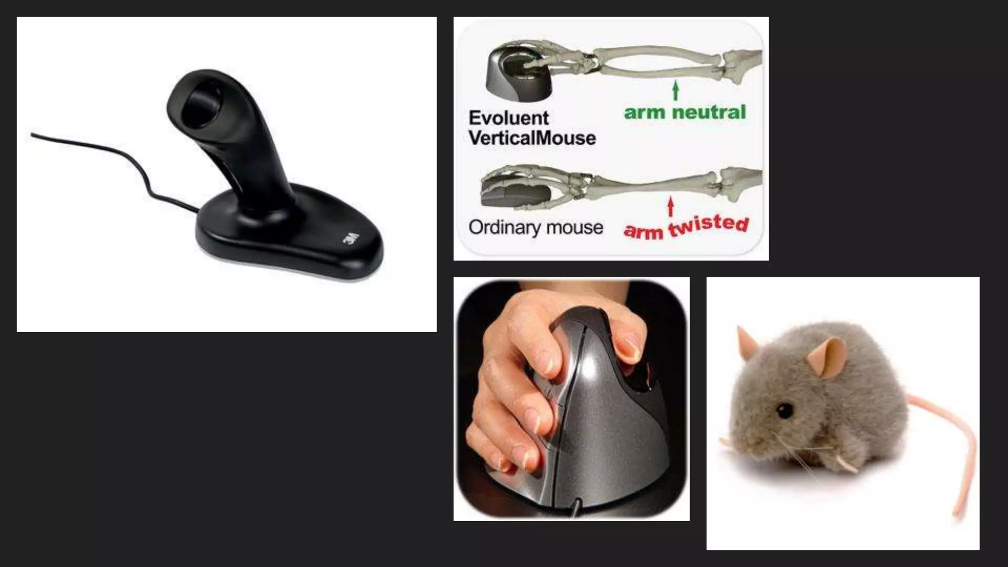 Ergonomics - A Long and Healthy Career as a Software Developer | PPTX